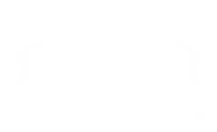 SEC Football Championship Virtual Venue™ by IOMEDIA